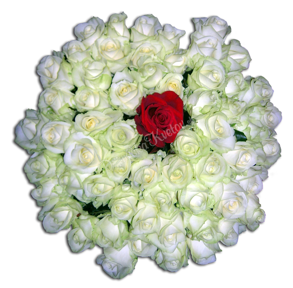 Donáška Kvetov - Rýchla a spoľahlivá donáška kvetov a darčekových košov ...